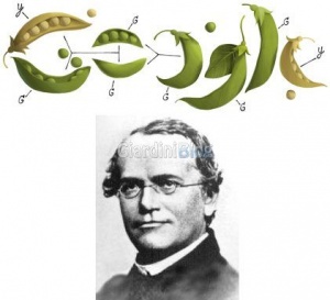 GREGOR MENDEL SPIEGAZIONE DEL NUOVO LOGOTIPO DI GOOGLE