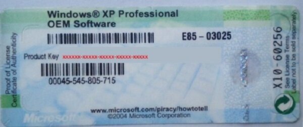 Trovare il codice Product Key di Windows 11 | GiardiniBlog