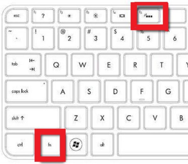 Come illuminare la tastiera del PC | GiardiniBlog Come illuminare la tastiera del PC | GiardiniBlog