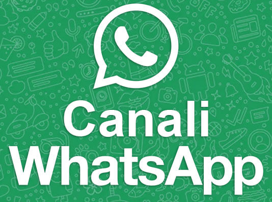 Come creare un canale WhatsApp | GiardiniBlog